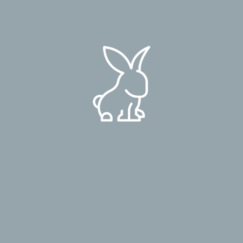 Pet Health Plan | Newry Vets